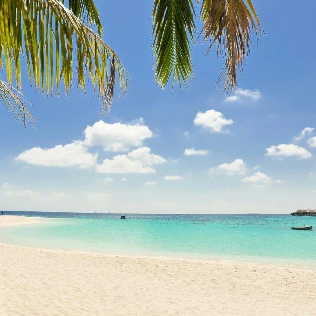 15 Fun Facts About Maldives